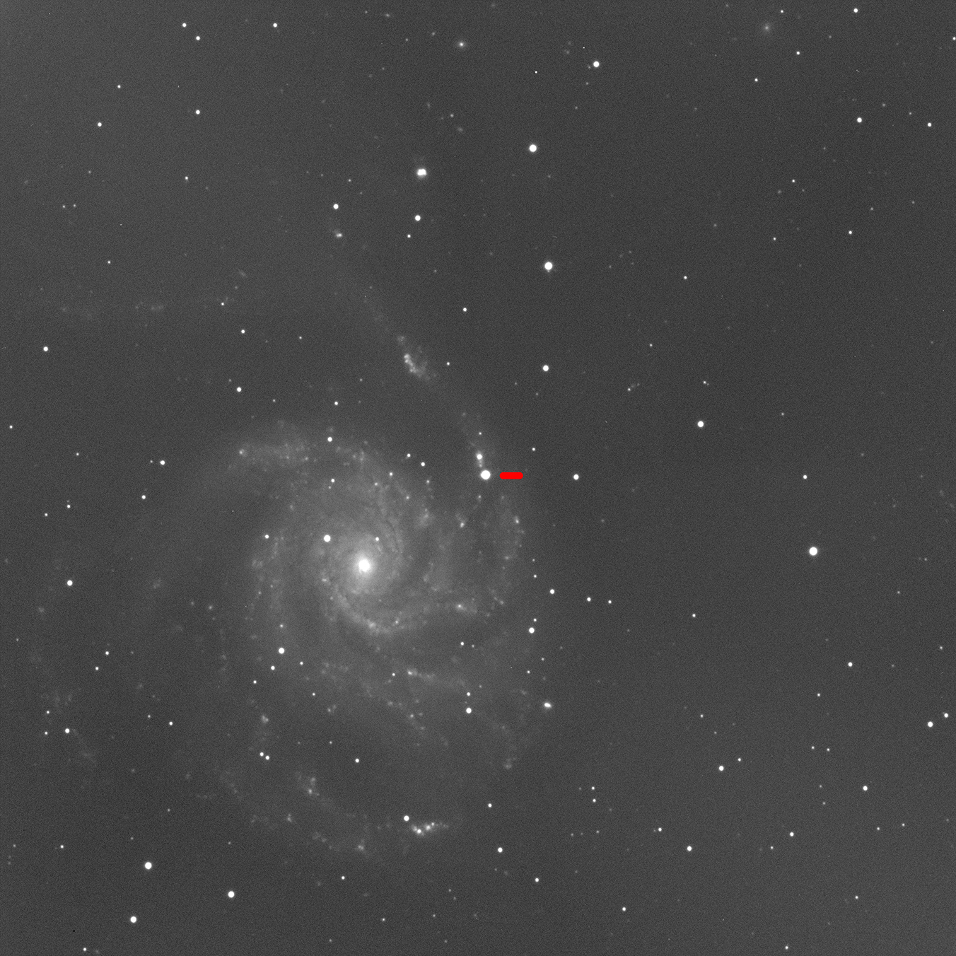 Supernova in M-101 | ExeterAstro